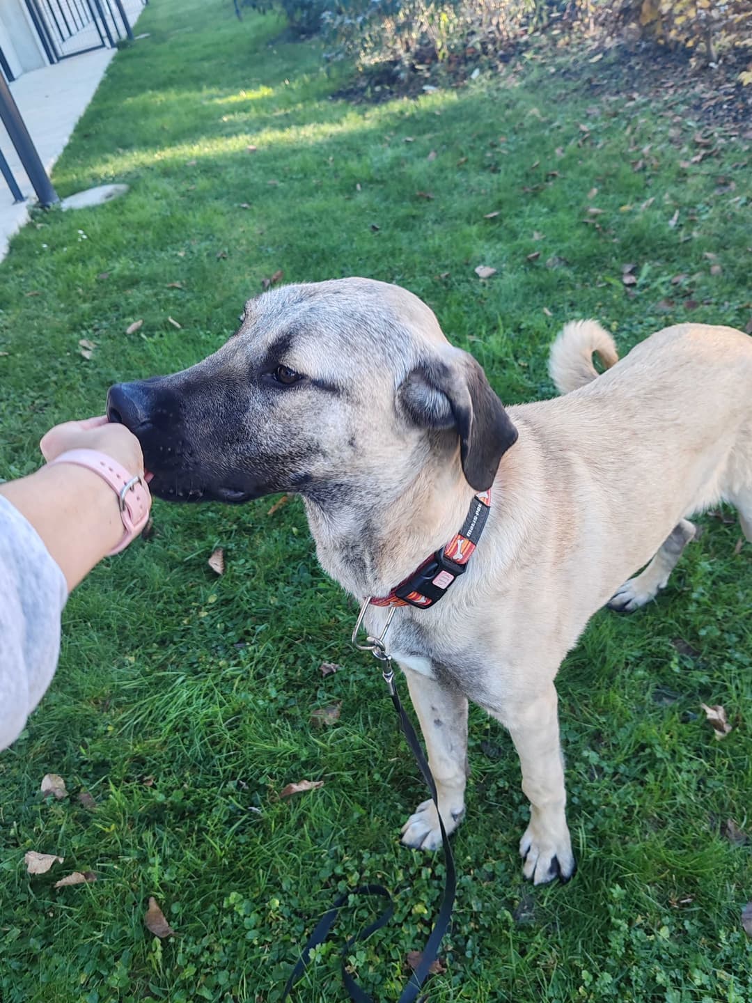 Herkul Zavetišče Ljubljana